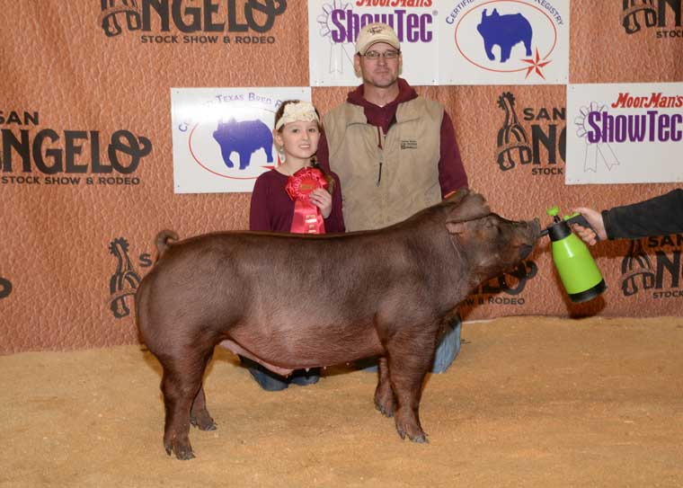 Champion Show Pigs 2017- Harman Farms
