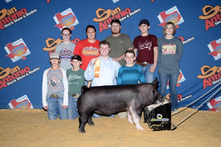 Winning Show Pigs 2016 - Harman Farms