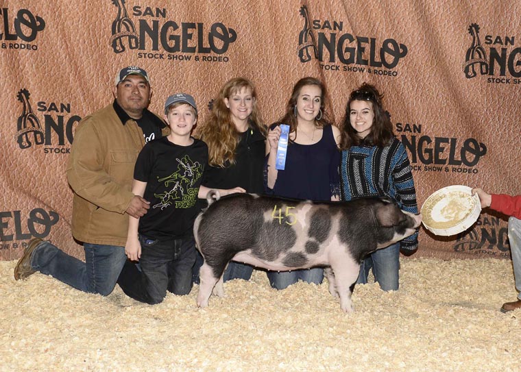 Harman Farms - 2018 Winning Show Pigs