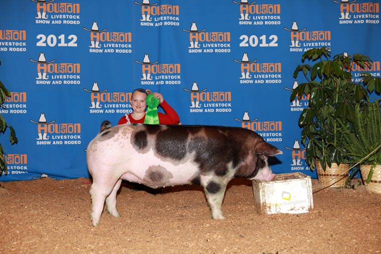 Harman Farms - Winning Show Pigs 2012