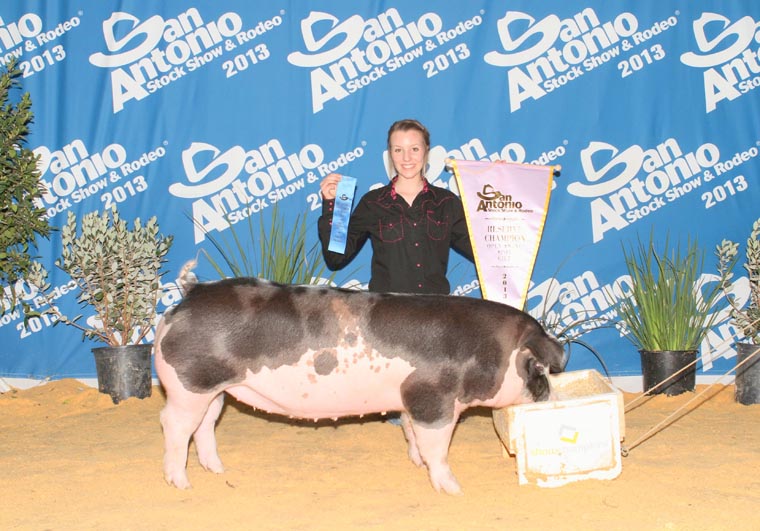 Harman Farms - Champion Show Pigs 2013