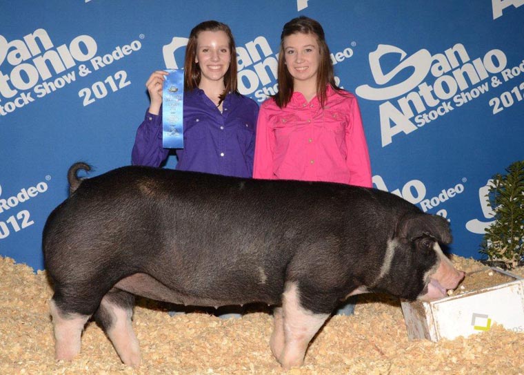 Harman Farms - Winning Show Pigs 2012