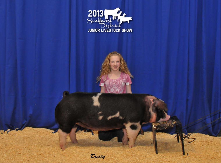 Champion Show Pigs 2013 - Harman Farms