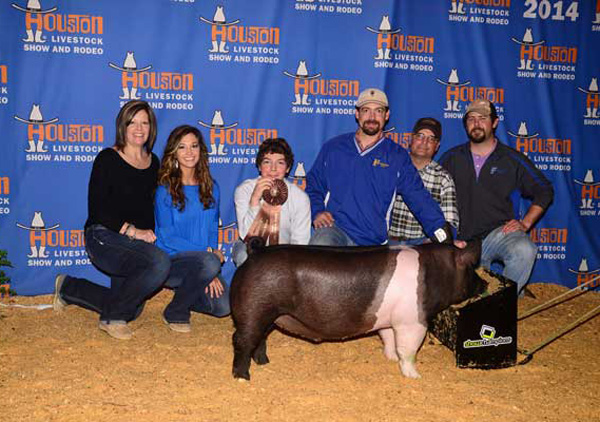 Harman Farms - 2014 Show Pig Winners
